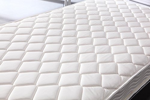 Home Life 6-Inch Twin Size Spring Mattress (Twin) (furMattB3260Twin_Mint)