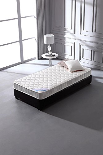 Home Life 6-Inch Twin Size Spring Mattress (Twin) (furMattB3260Twin_Mint)