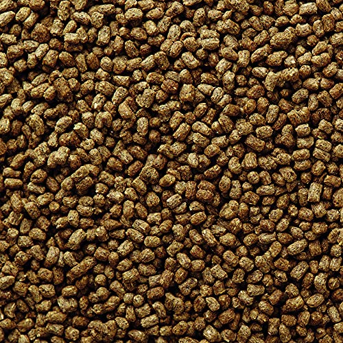 Mazuri | Herbivorous Reptile Diet | 8 Ounce (8 OZ) Bag
