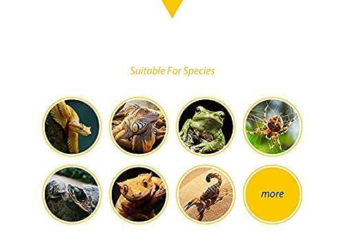 RunXF Simulation Rock Reptile Feeding Bowls Resin Feeder Lizard Toad Tortoise Hedgehog Habitat Accessories Terrarium Tank Ornament Water Food Dish,5.5 x 3.7 x 1.2inches (Medium)