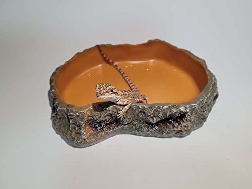 RunXF Simulation Rock Reptile Feeding Bowls Resin Feeder Lizard Toad Tortoise Hedgehog Habitat Accessories Terrarium Tank Ornament Water Food Dish,5.5 x 3.7 x 1.2inches (Medium)