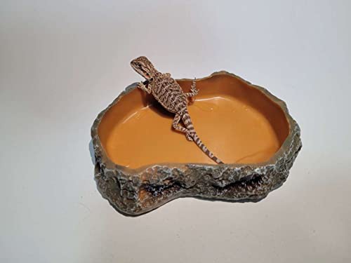 RunXF Simulation Rock Reptile Feeding Bowls Resin Feeder Lizard Toad Tortoise Hedgehog Habitat Accessories Terrarium Tank Ornament Water Food Dish,5.5 x 3.7 x 1.2inches (Medium)