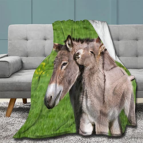 Animal Donkey Meadow Large Flannel Fleece Blanket Microfiber Blanket-Super Soft Warm Comfortable Blanket Camping Travel Chair Sofa Sofa Bed 80"x60"