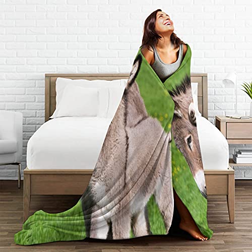 Animal Donkey Meadow Large Flannel Fleece Blanket Microfiber Blanket-Super Soft Warm Comfortable Blanket Camping Travel Chair Sofa Sofa Bed 80"x60"