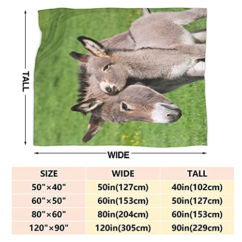 Animal Donkey Meadow Large Flannel Fleece Blanket Microfiber Blanket-Super Soft Warm Comfortable Blanket Camping Travel Chair Sofa Sofa Bed 80"x60"