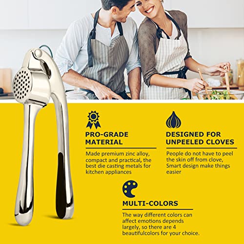 Premium Garlic Press, Professional Garlic Mincer, Easy to Squeeze and Clean, Rust Proof & Dishwasher Safe, Efficient Ginger Crusher- Imperial Silver