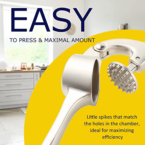 Premium Garlic Press, Professional Garlic Mincer, Easy to Squeeze and Clean, Rust Proof & Dishwasher Safe, Efficient Ginger Crusher- Imperial Silver