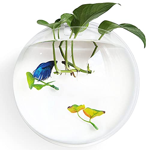 Noodoky Betta Fish Tank Bowl 11.8in, Wall Mounted Beta Fish Small Aquarium, Hanging Plastic Wall Decor for Plant Fish Ecosphere(1 Gallon)
