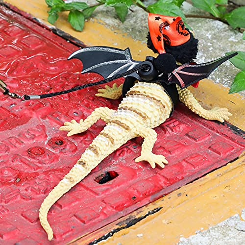 Xuniea 2 Sets Halloween Thanksgiving Bearded Dragon Lizard Leash Harness Hat Set with Halloween Pumpkin Hat, Reptile Harness Leash Black Hat Bowtie Set for Bearded Dragon Lizard Reptile Clothes