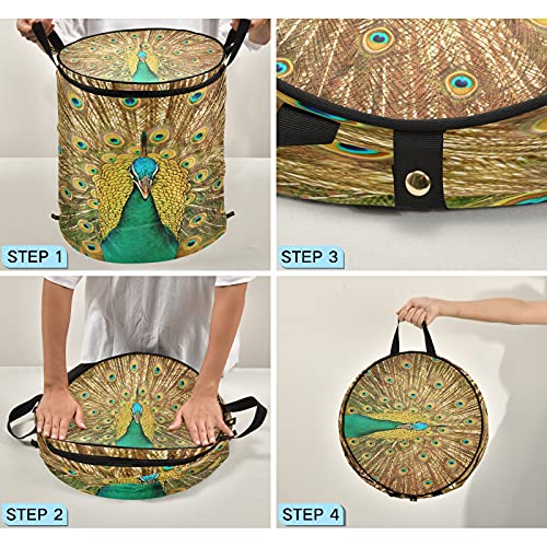 xigua Large Pop-Up Laundry Basket with Zipper Lid, Round Collapsible Storage Basket,Dirty Clothes Hamper for Bedroom, Beautiful Peacock