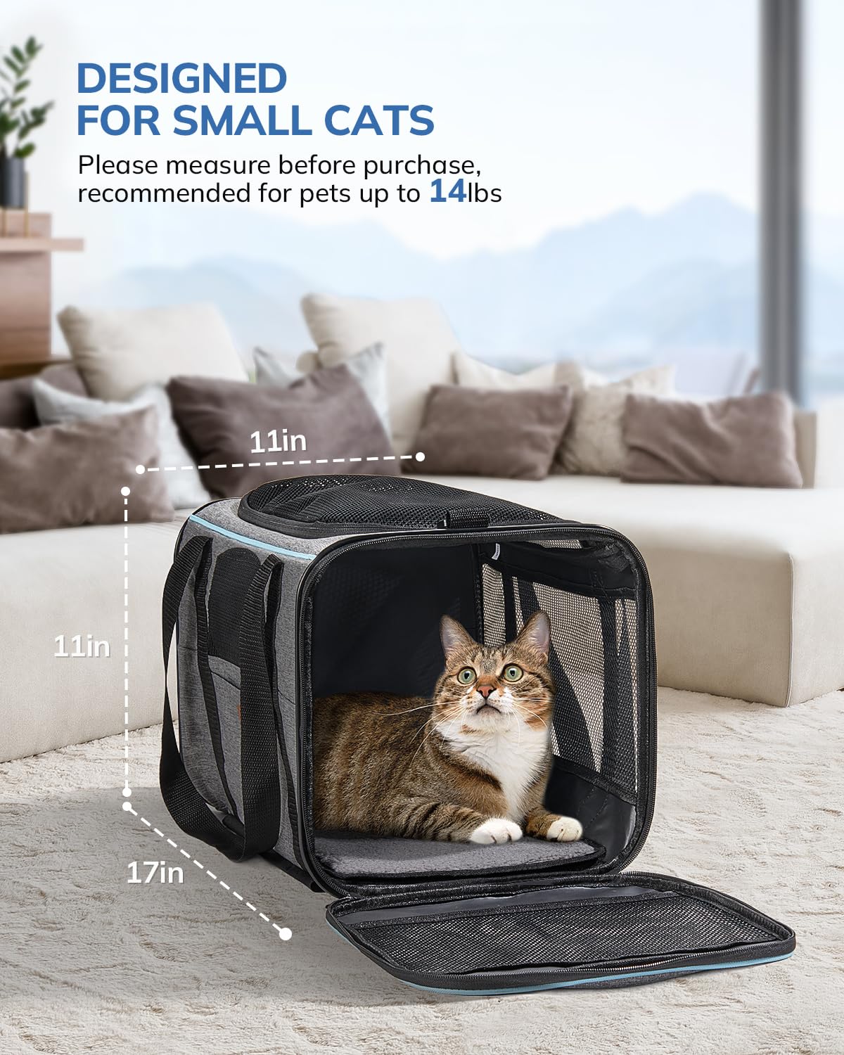Morpilot Cat and Dog Carrier with Detachable Wheels - Airline Approved Rolling Carrier for Small Pets and Cats - Foldable Pet Travel Bag