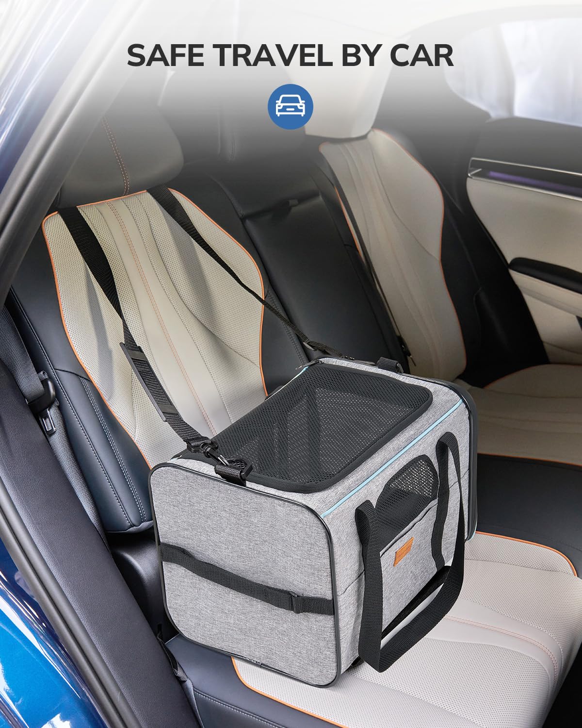 Morpilot Cat and Dog Carrier with Detachable Wheels - Airline Approved Rolling Carrier for Small Pets and Cats - Foldable Pet Travel Bag