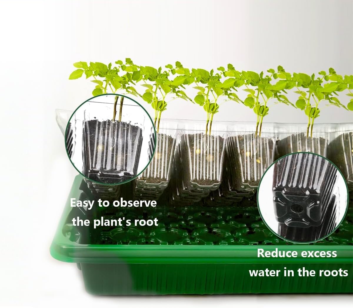 GYTF 6 Pack Seedling Starter Trays, 216-Cell Plant Starting Kit with Humidity Dome for Small Mini Greenhouse Germination Seeds Growing Starting