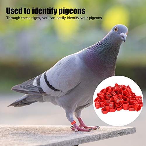 Astibym Bird Clip, 100Pcs Plastic Pigeons Identify Reusable Easy to Use Pigeons Leg Bands 001β100 Numbered for Parrots(10mm red with Word Ring)