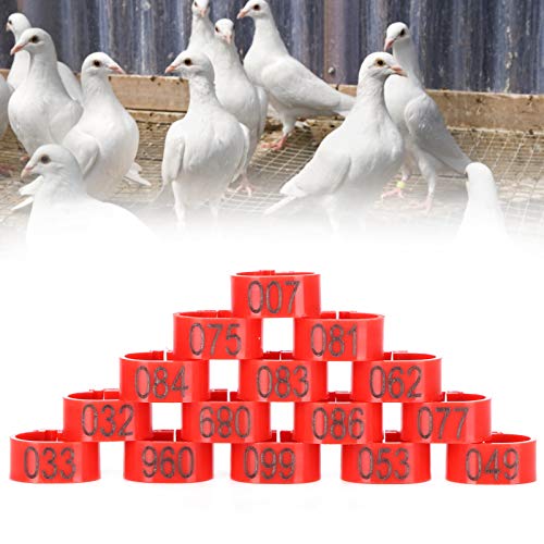 Astibym Bird Clip, 100Pcs Plastic Pigeons Identify Reusable Easy to Use Pigeons Leg Bands 001β100 Numbered for Parrots(10mm red with Word Ring)