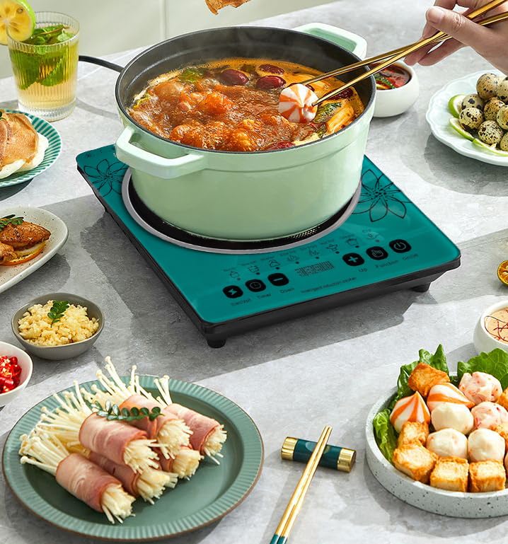 TYEMUI 2200W Induction Hot Plate,Portable Electric Cooktop Single Burner High Power Electrical Hot Plates for Cooking in Dorm, Apartments, Home 110V-120V