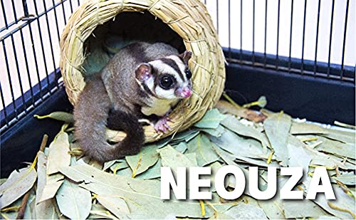 NEOUZA Sugar Glider Small Animal Bedding, Chew Treats, Molar Toys, 200g Natural Dried Eucalyptus Leaves and Twigs (200g Eucalyptus Leaves)