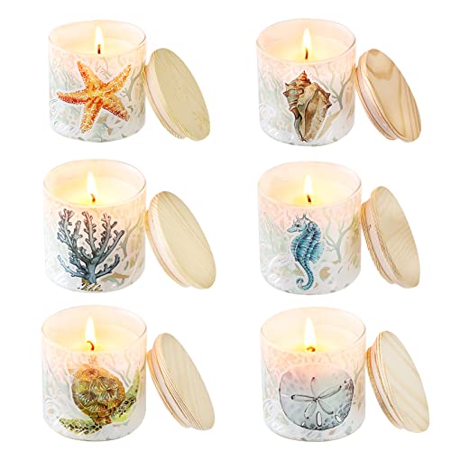 Jar Candles Scented with Lid Gift Set of 6 Ocean Theme Jar Different Fragrance Candles Soy Wax Aromatherapy Jar Candles Take Harsh Smells Away Candles for Home Scented Stress Relief and Relaxation