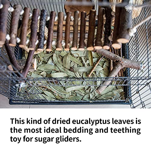 NEOUZA Sugar Glider Small Animal Bedding, Chew Treats, Molar Toys, 200g Natural Dried Eucalyptus Leaves and Twigs (200g Eucalyptus Leaves)
