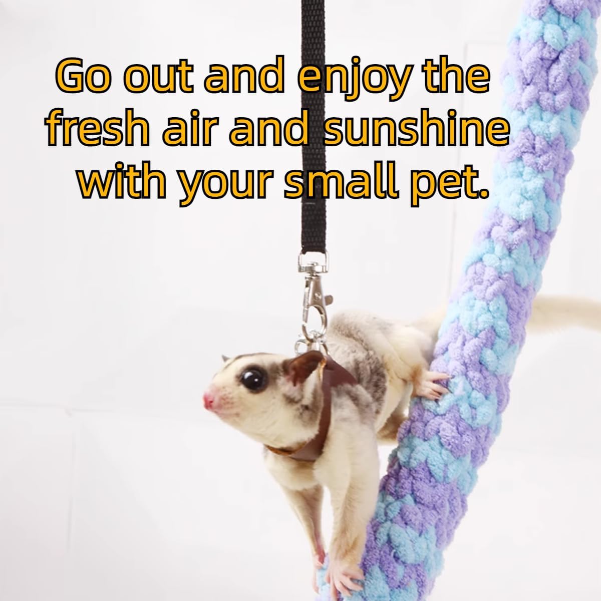 MANON ROSA Sugar Gliders Harness Leash Set - 3 Pcs Training Walking Gear Small Animal Adjustable Traction Ropes Vest for Squirrels Hamsters Rats Gerbils Reptiles Bearded Dragon Lizards Black