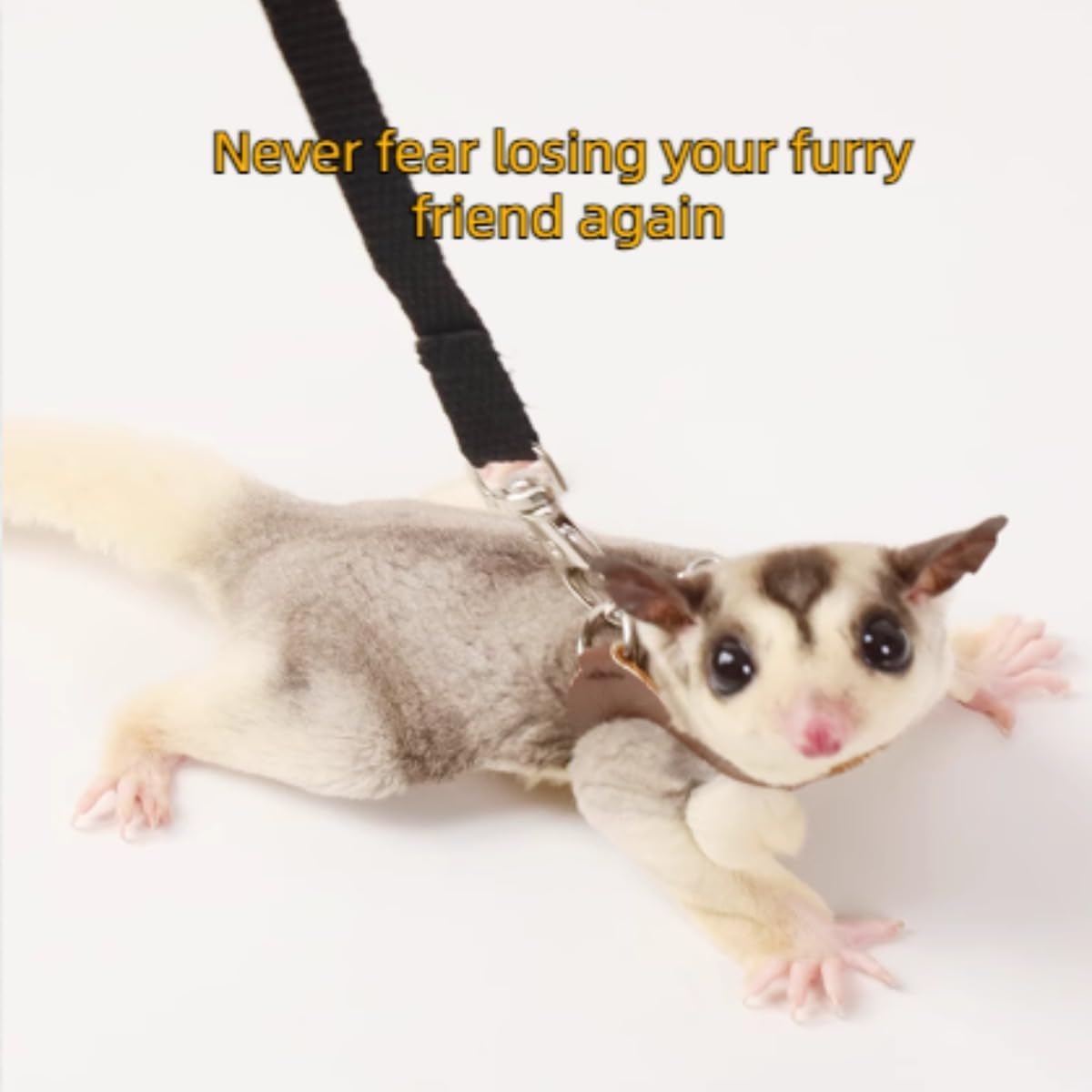 MANON ROSA Sugar Gliders Harness Leash Set - 3 Pcs Training Walking Gear Small Animal Adjustable Traction Ropes Vest for Squirrels Hamsters Rats Gerbils Reptiles Bearded Dragon Lizards Black