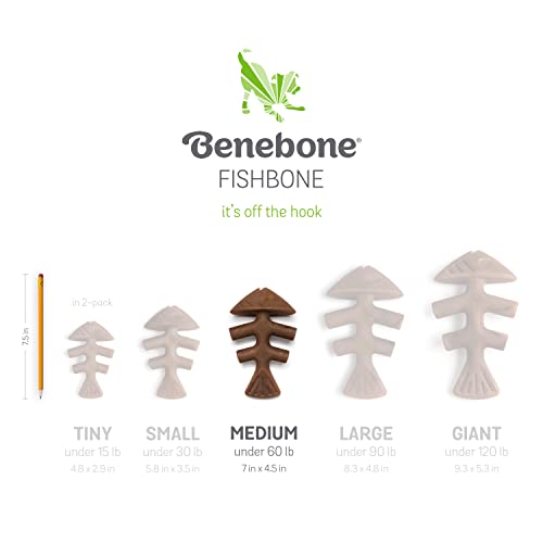 Benebone Fishbone Durable Dog Chew Toy for Aggressive Chewers, Real Fish, Made in USA, Medium