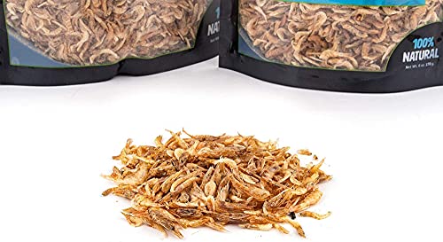 Fluker's Grub Bag Turtle Treat - River Shrimp 6oz - Includes Attached DBDPet Pro-Tip Guide