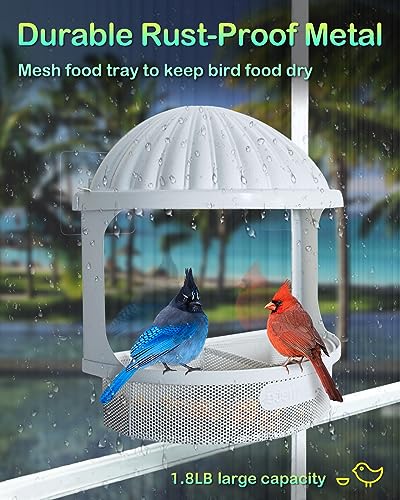 Ermete Durable Metal Bird Window Feeder with Seed Tray and Strong Suction Cups - Window Bird Watching Gift, White