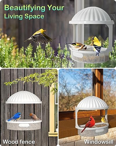 Ermete Durable Metal Bird Window Feeder with Seed Tray and Strong Suction Cups - Window Bird Watching Gift, White