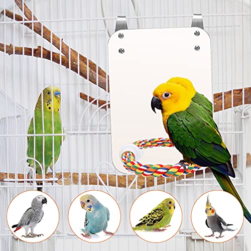 7ββ Bird Mirror Coolrunner Mirror for Bird Cage Bird Mirror for Parakeets Cage Cockatiels Conures Cage Bird Parrot Mirror with Rope Parrot