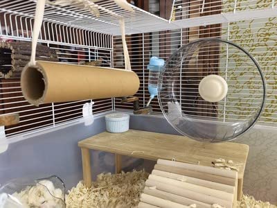 WHFPS Silent Hamster Exercise Wheel - Hamster Toy Accessories 7.9 Inch Running Spinner Quiet Hamster Runner for Small Animal Pet Gerbil Dwarf Syrian Hamster Hedgehog Rat Mouse Mice etc.