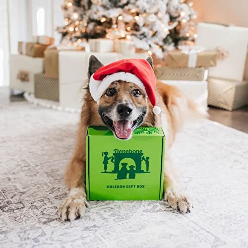 Benebone Medium Holiday 4-Pack Dog Chew Toys for Aggressive Chewers, Made in USA, 60lbs and Under
