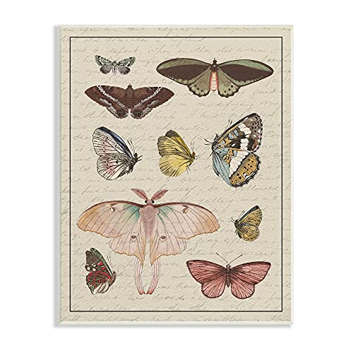 Stupell Industries Vintage Moth and Butterfly Wing Study Over Script, Designed by Daphne Polselli Wall Plaque, 10 x 15, Multi-Color