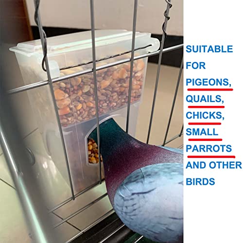 Automatic Pigeon Bird Feeder -Parrot Feeder Cage Accessories Supplies for Parakeet Canary Cockatiel Finch