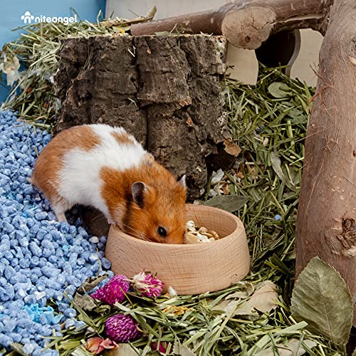 Niteangel Wooden Hamster Feeding Bowl - Small Animal Food Dish for Dwarf Syrian Hamsters Gerbils Mice Degus or Other Similar-Sized Small Pets (Hammy Pattern, for Syrian)