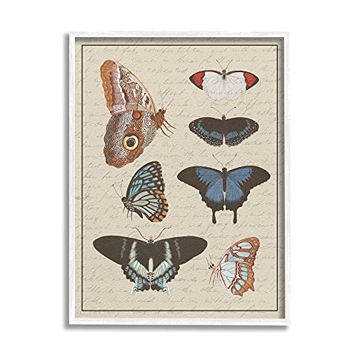 Stupell Industries Butterfly and Moth Study Vintage Cursive Script, Designed by Daphne Polselli White Framed Wall Art, 16 x 20, Multi-Color