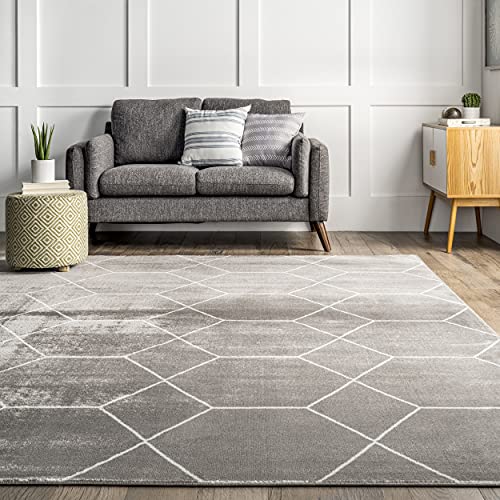 nuLOOM Veronica Geometric Honeycomb Area Rug, 8' x 10', Grey