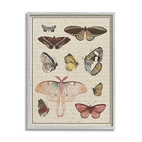 Stupell Industries Vintage Moth and Butterfly Wing Study Over Script, Designed by Daphne Polselli Gray Framed Wall Art, 11 x 14, Multi-Color