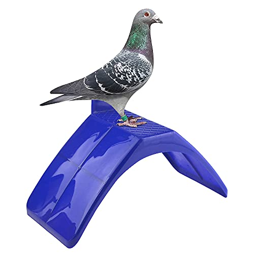 XINMEIWEN 10Pcs Pigeon Perch Bird Stand Bird Rest Roost for Outside Plastic Heat Resistance Dove Rest Stand Holder Supplies (Without Wood)