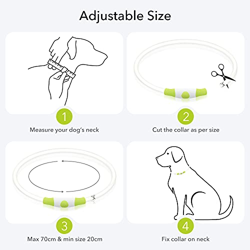 Colaseeme LED Dog Collar Light Up Dog Collars 1 Count USB Rechargeable TPU Glow Safety Basic Dog Collars for Large Medium Small Dogs (Green)