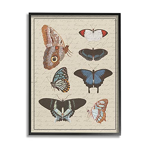 Stupell Industries Butterfly and Moth Study Vintage Cursive Script, Designed by Daphne Polselli Black Framed Wall Art, 24 x 30, Multi-Color