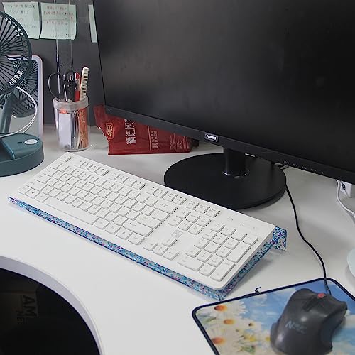 Cityjoy Computer Keyboard Stand Titled PC Gaming Keyboard Stand Riser with Silicone Anti-Slip Case, Acrylic Keyboard Tray Holder for Ergonomic Typing Working at Home and Office (LJ013A Blue)