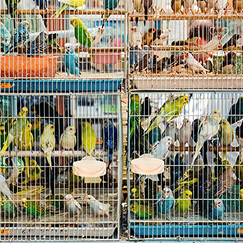 cabilock Climbing Toys 3pcs Bird Wood Platform Parrot Perch Stand Playground Cage Corner Shelf Board for Conures Budgies Hamster Gerbil Rat 5. 5cm Round Bird Cage