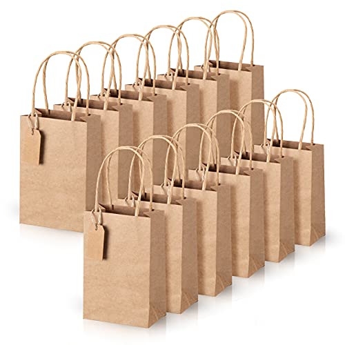24 Pieces Mini Kraft Paper Bags with Handles 6.25 x 3.5 Inch Paper Party Favor Bag, 24 Pieces Blank Kraft Paper Tag Hanging Labels and 33 Feet Long Twine Rope for Treat Bags, Shopping Bags (Brown)