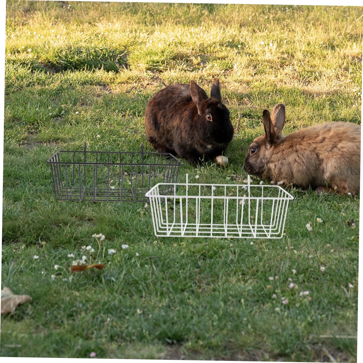 Balacoo Rabbit Rack Bunny Feeder Rabbit Feeders Convenient Rabbit Feeder Hanging Rabbit Feeder Daily Use Rabbit Feeder Rack for Rabbits Feeder Rabbit Grid Accessories Shelf Metal White