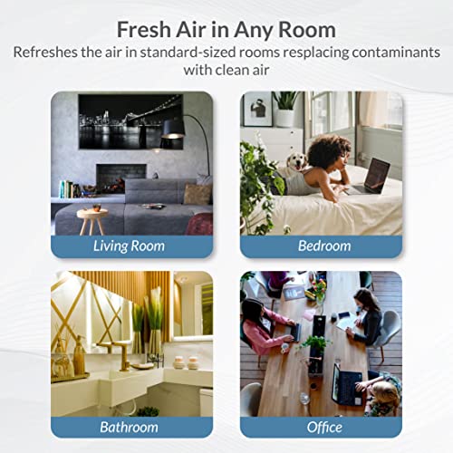 Purafide XP280 | Veteran Owned | 2-Yr Filter Life | H13 HEPA Air Purifier | Elegant Old Fashion Controls | 1700 Sq Ft Coverage. Home, Bedroom, Pets, Dust - White, 2-Pack