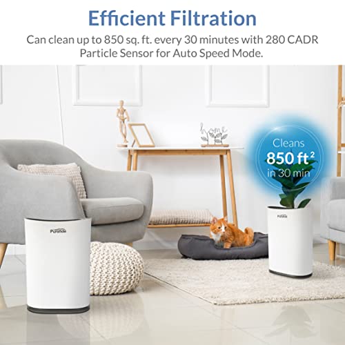 Purafide XP280 | Veteran Owned | 2-Yr Filter Life | H13 HEPA Air Purifier | Elegant Old Fashion Controls | 1700 Sq Ft Coverage. Home, Bedroom, Pets, Dust - White, 2-Pack