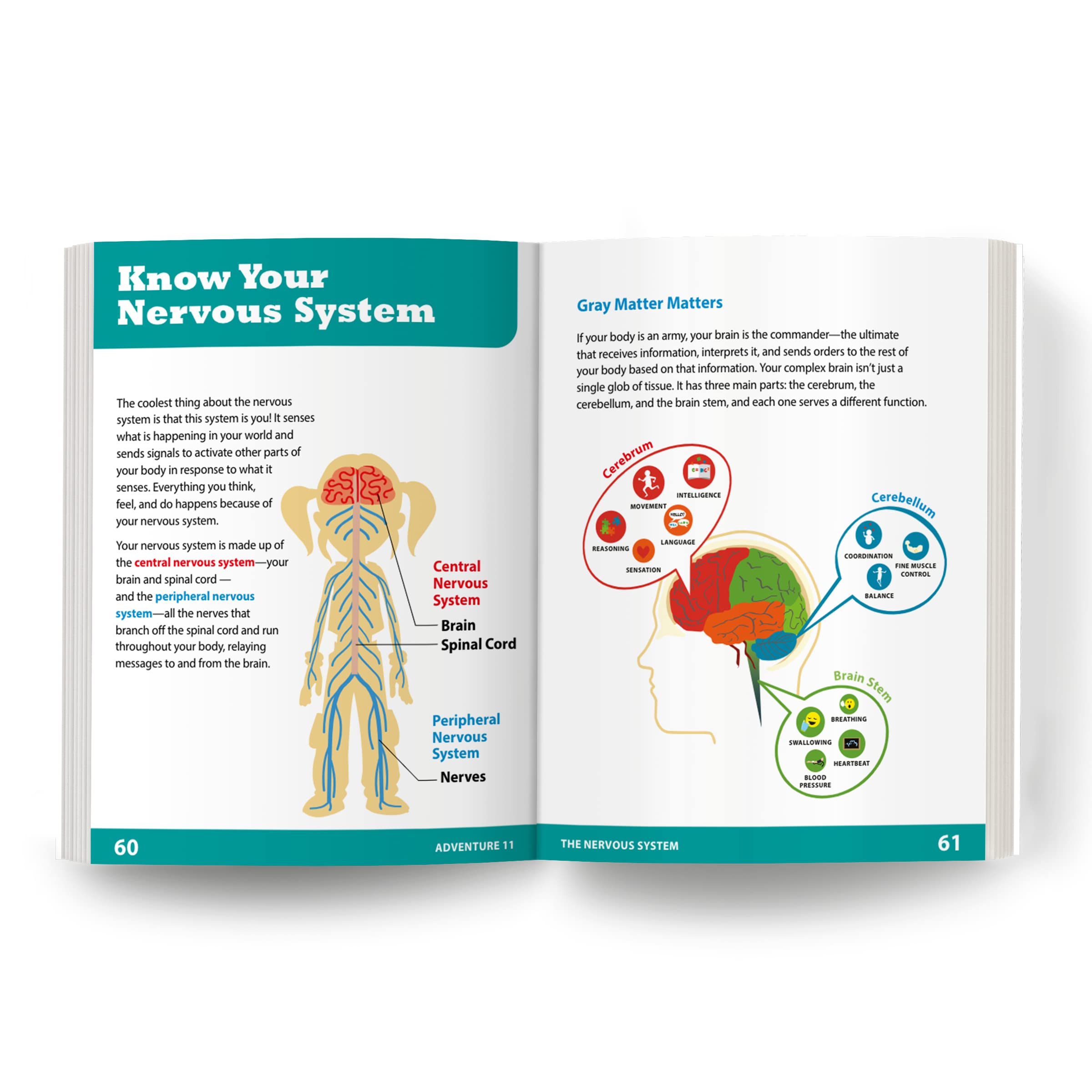 Know Yourself - The Nervous System: Adventure 11, Human Anatomy for Kids, Best Interactive Activity Workbook to Teach How Your Body Works, STEM & STEAM, Ages 8-12 (Systems of the Body)