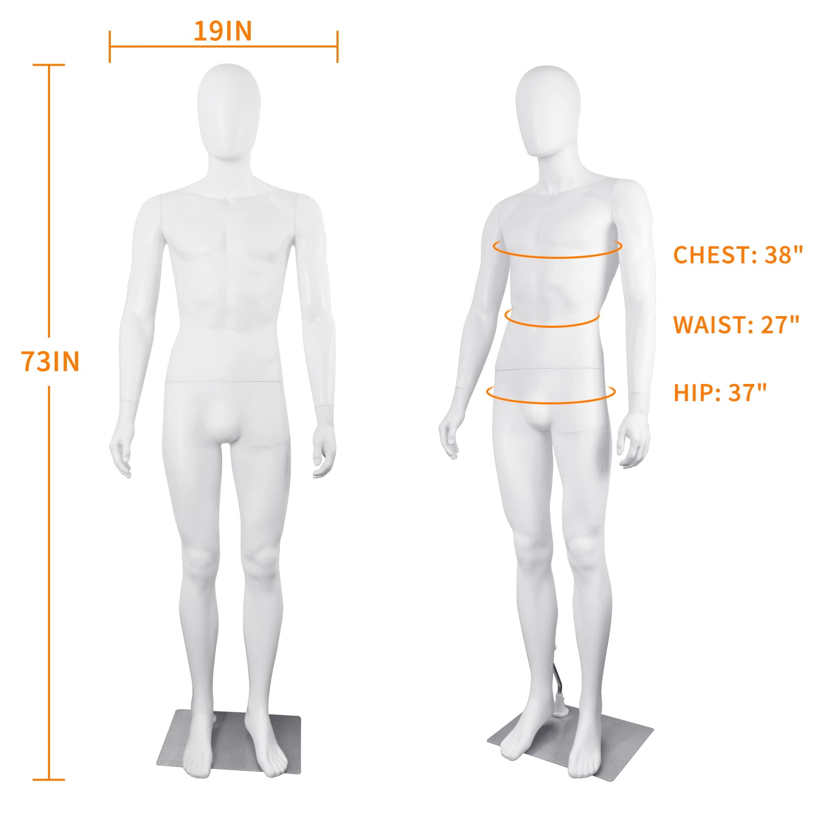 Male Mannequin Full Body Maniquine Model Stand Adjustable 73 inch Faceless Plastic Detachable Manequins Stand Metal Base Metal Connector, White Matte