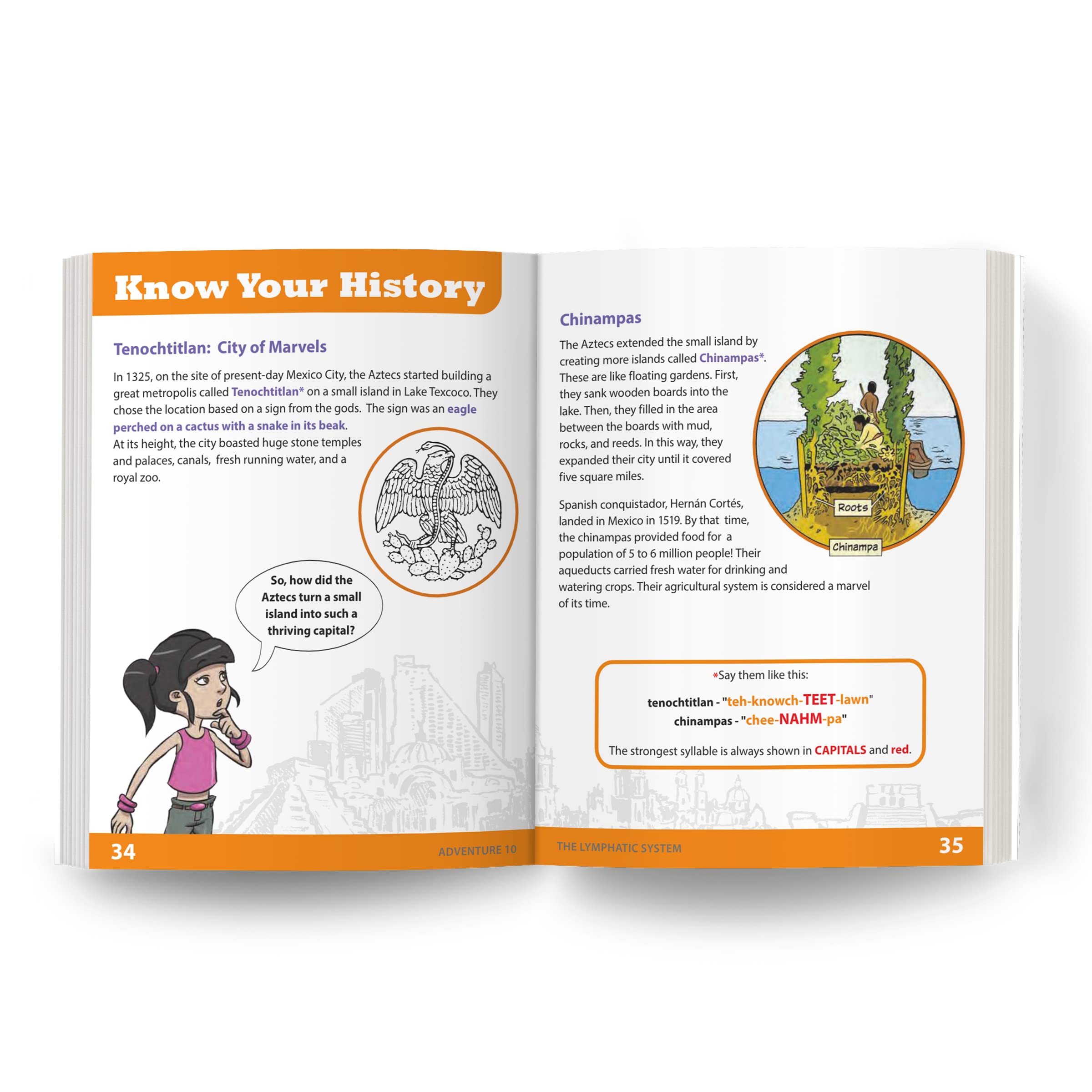Know Yourself - The Lymphatic System: Adventure 10, Human Anatomy for Kids, Best Interactive Activity Workbook to Teach How Your Body Works, STEM & STEAM, Ages 8-12 (Systems of the Body)